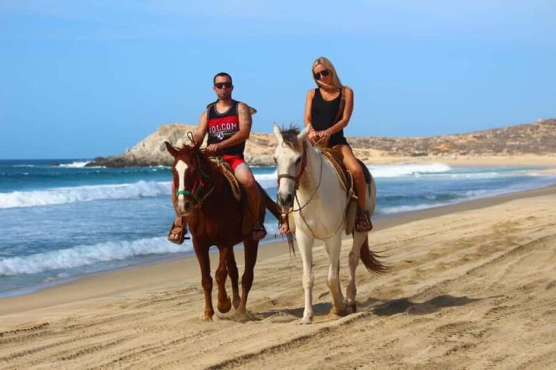 Cabo San Lucas: Horseback Riding on the Beach Experience - An In-Depth Look at the Experience