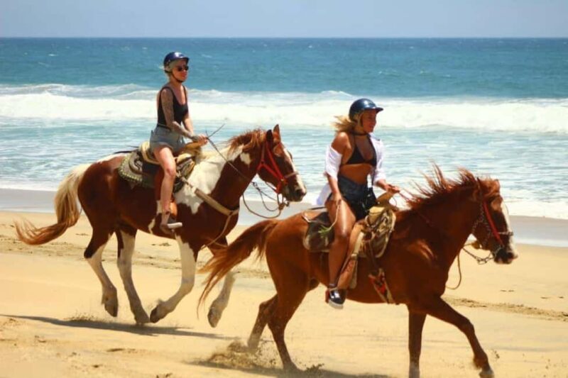 Cabo San Lucas: Horseback Riding on the Beach Experience - FAQ
