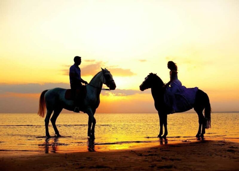Cabo San Lucas: Intimate Sunset Horseback Ride and Dinner - Who Will Love This Tour?