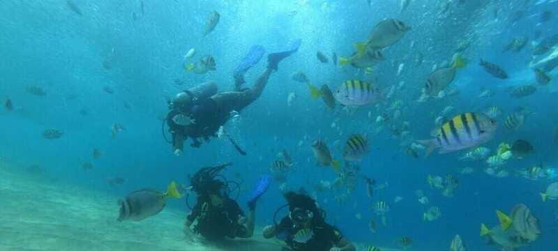 Cabo San Lucas: Marine Reserve Dive - Detailed Breakdown of the Experience