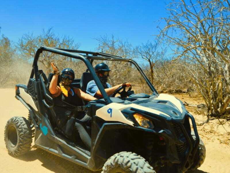 Cabo San Lucas: Migriño Beach & Desert UTV Adventure - What Makes This Tour Stand Out?