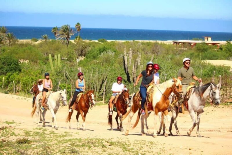 Cabo San Lucas: Migriño Horseback Riding Adventure - What You Should Know Before Booking