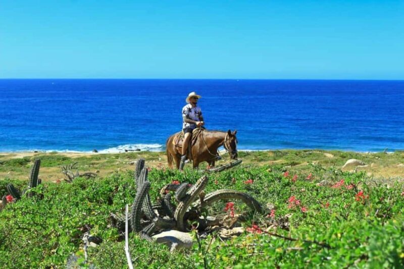 Cabo San Lucas: Migriño Horseback Riding Adventure - Who will love this experience?
