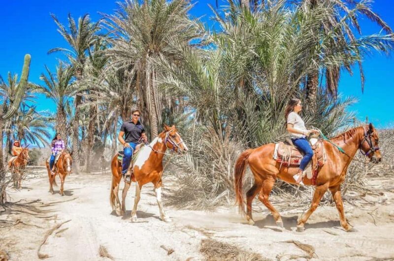Cabo San Lucas: Migriño Horseback Riding Adventure - Final thoughts