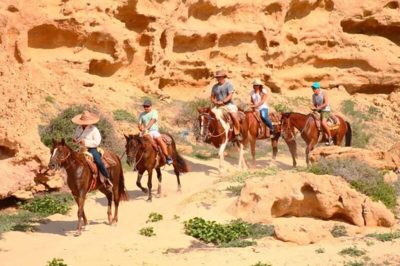 Cabo San Lucas: Migriño Horseback Riding Adventure - FAQ