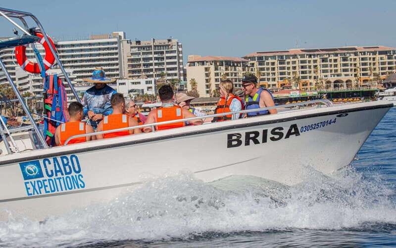 Cabo San Lucas: Parasailing Experience - Authentic Traveler Feedback and Insights