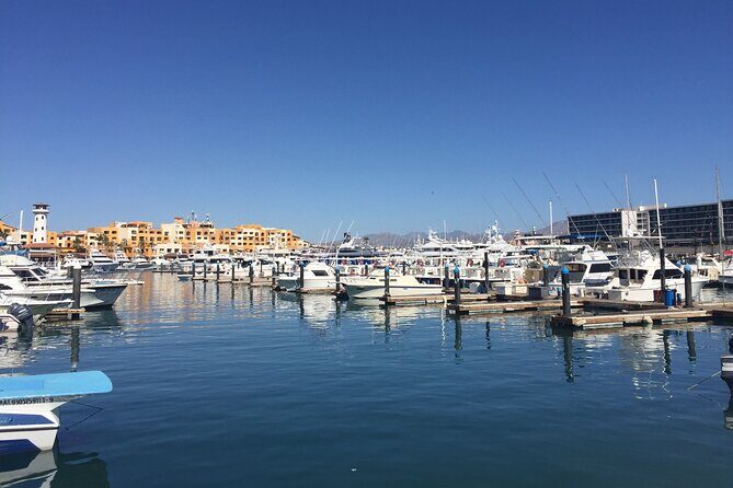 Cabo San Lucas Pirate Adventure - Family Sunset Cruise - FAQ