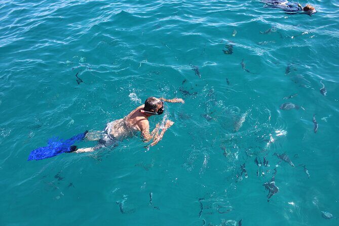 Cabo San Lucas Pirate Snorkel Tour - FAQ