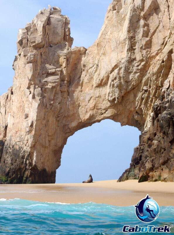 Cabo San Lucas Private and Shared Snorkeling Tour - FAQ