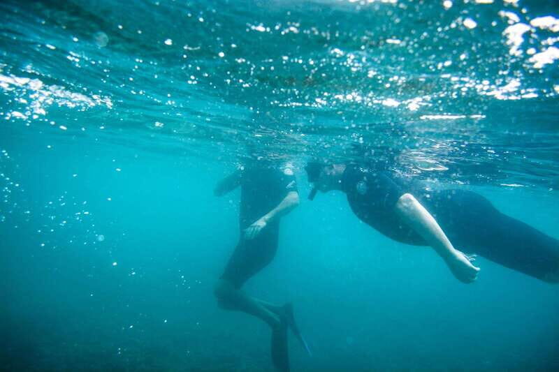 Cabo San Lucas: Private Jeep Tour to Cabo Pulmo & Snorkeling - Final Impression: Is This Tour Worth It?