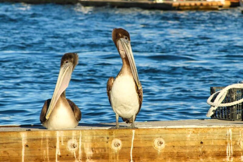 Cabo San Lucas: Private Sunset Cruise - The Verdict: Is It Worth It?