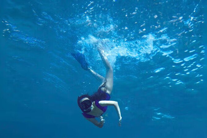 Cabo San Lucas Sailing Snorkeling Adventure - The Itinerary in Detail: What to Expect