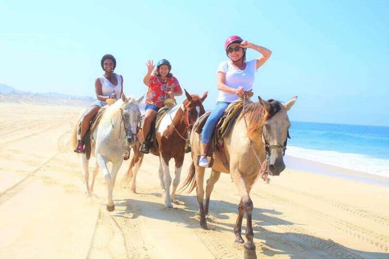 Cabo San Lucas: Scenic Horseback Ride Along the Corridor - An In-Depth Look at the Cabo San Lucas Horseback Ride