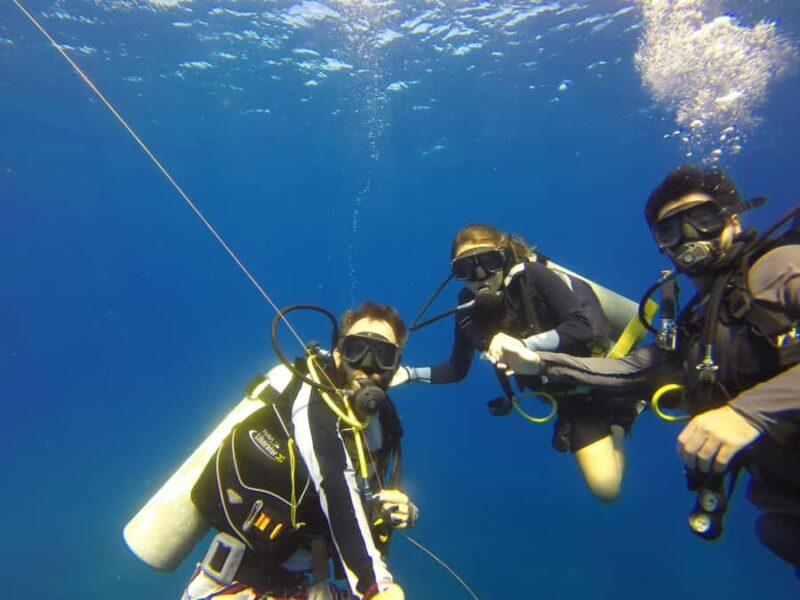 Cabo San Lucas: Scuba Diving in Cabo San Lucas Marine Park - The Breakdown of Your Day
