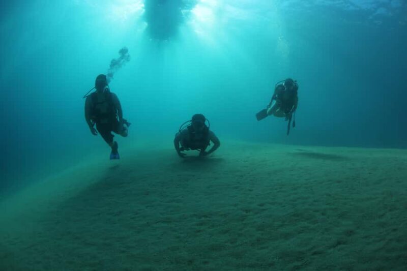 Cabo San Lucas: Scuba Diving in Cabo San Lucas Marine Park - Who Will Love This Experience?