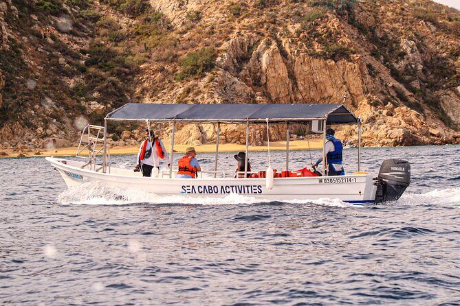 Cabo San Lucas Shared Glass Bottom Boat Experience - A Deep Dive Into the Experience