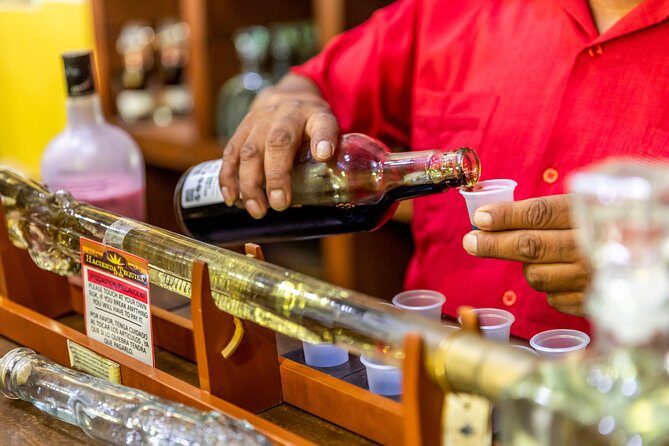 Cabo San Lucas Shopping, Tequila Tasting, and Snorkel Tour - Frequently Asked Questions