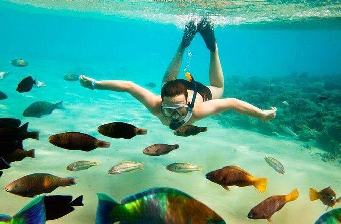 Cabo San Lucas Shopping, Tequila Tasting, and Snorkel Tour - Final Thoughts