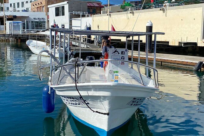 Cabo San Lucas Small-Group Whale Watching Tour: Hear the Whales - Final Thoughts