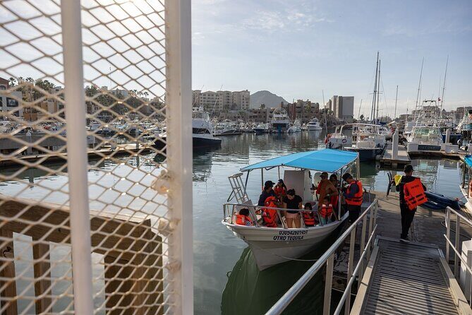 Cabo San Lucas Snorkel Adventure with Photos Included - The Scenic Highlights