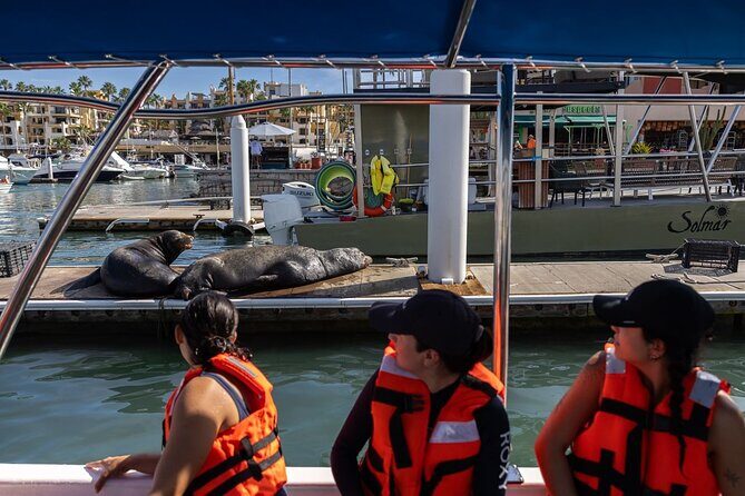 Cabo San Lucas Snorkel Adventure with Photos Included - Cost and Value