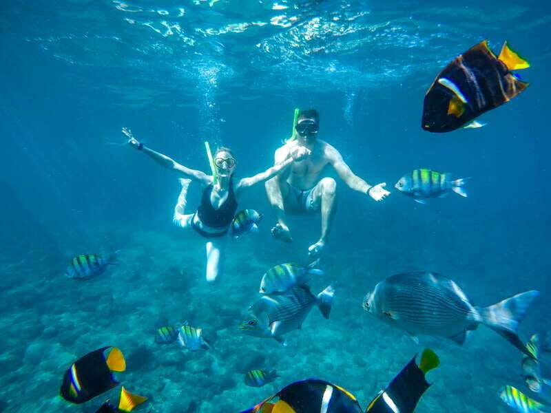 Cabo San Lucas: Snorkel Tour with Open Bar & Snacks - The Sum Up