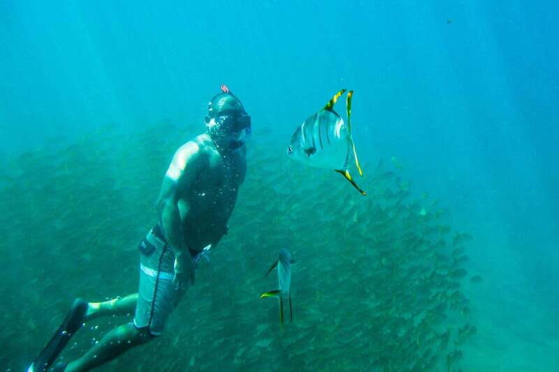 Cabo San Lucas: Snorkeling at Lovers Beach - Why Choose the Lovers Beach Snorkeling Tour?