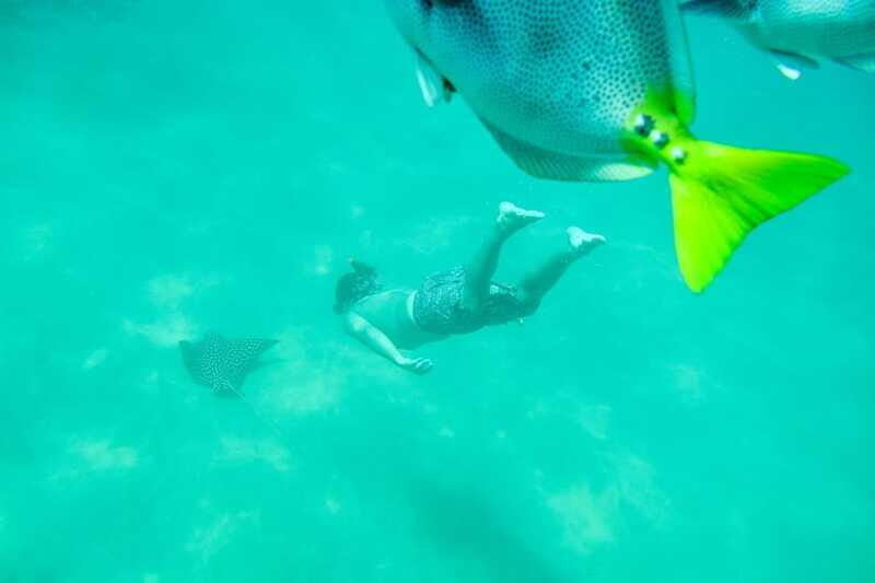 Cabo San Lucas: Snorkeling at Lovers Beach - The Bottom Line