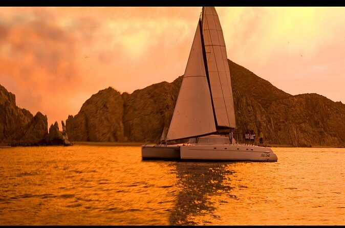 Cabo San Lucas Sunset Catamaran Cruise with Open Bar - Authentic Experiences and Traveler Insights