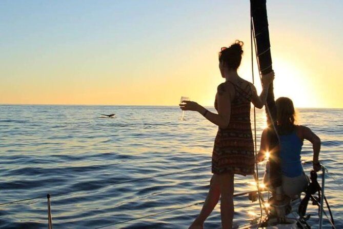 Cabo San Lucas Sunset Sailing Shared Cruise - Final Thoughts: Who Will Love This Cruise?