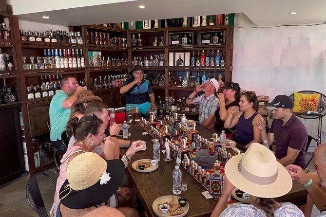 Cabo San Lucas - Tacos, Cocktails and Tequila Walking Tour - Dive into Cabo San Lucas: Tacos, Cocktails, and Tequila Walking Tour