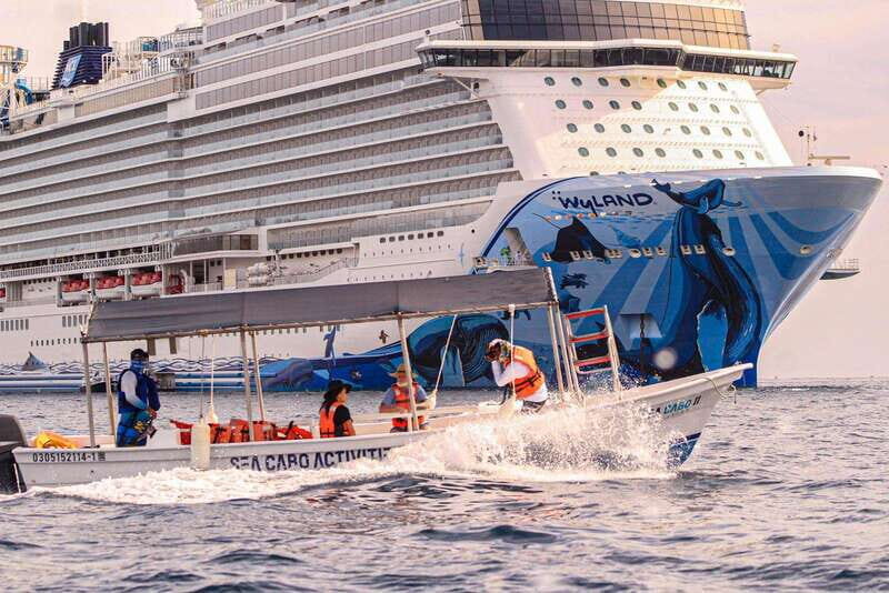 Cabo San Lucas: Tour al Arco en Barco Fondo de Cristal - Key Points
