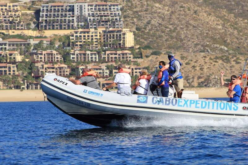Cabo San Lucas: Up-Close Whale Watching Small-Group Tour - A Closer Look at the Experience