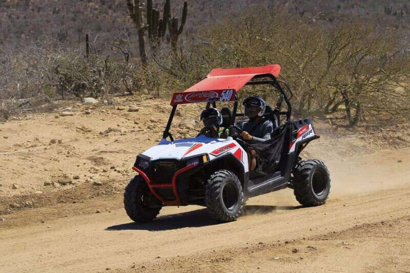Cabo San Lucas: UTV Razor Tour of Migriño Desert and Beach - Pricing & Value