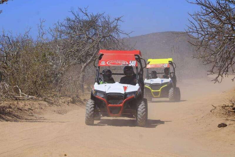 Cabo San Lucas: UTV Razor Tour of Migriño Desert and Beach - The Sum Up