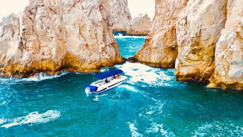 Cabo San Lucas: Whale Watching and Snorkeling Tour - Value and Practical Considerations