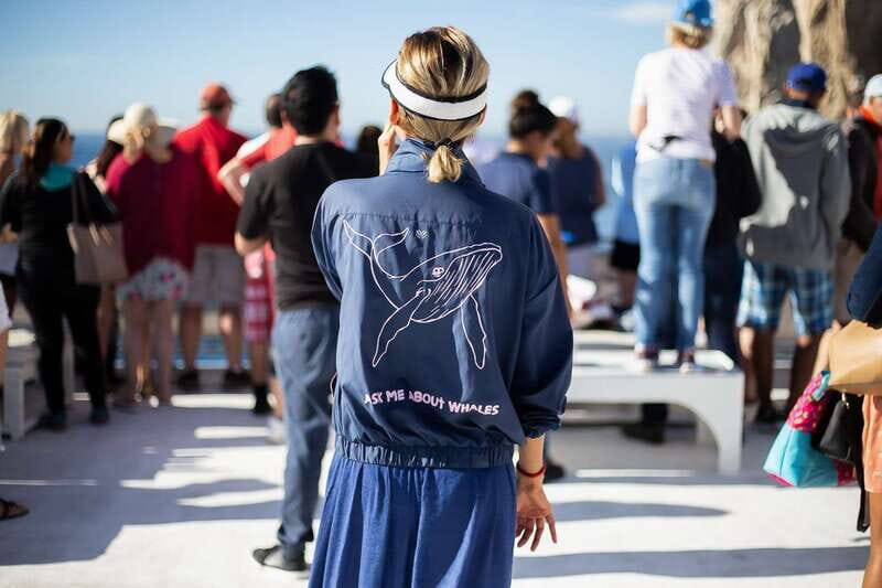 Cabo San Lucas: Whale Watching Breakfast Cruise - What to Expect from Your Whale Watching Breakfast Cruise