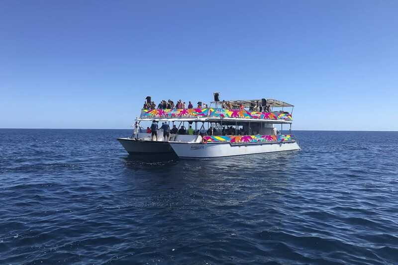 Cabo San Lucas: Whale Watching Breakfast Cruise - Who Should Consider This Tour?
