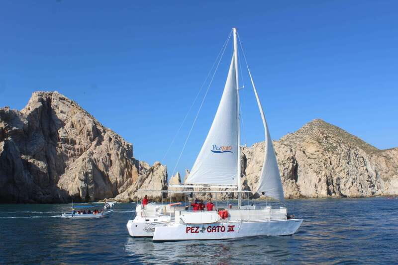 Cabo San Lucas: Whale Watching Experience on Catamaran - Frequently Asked Questions