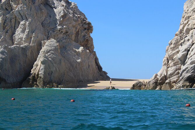 Cabo San Lucas Whale Watching Tour All Included - What Does the Price Cover? Is It Worth It?