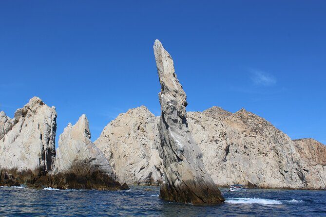 Cabo San Lucas Whale Watching Tour All Included - The Sum Up: Is This Tour Worth Your Time?
