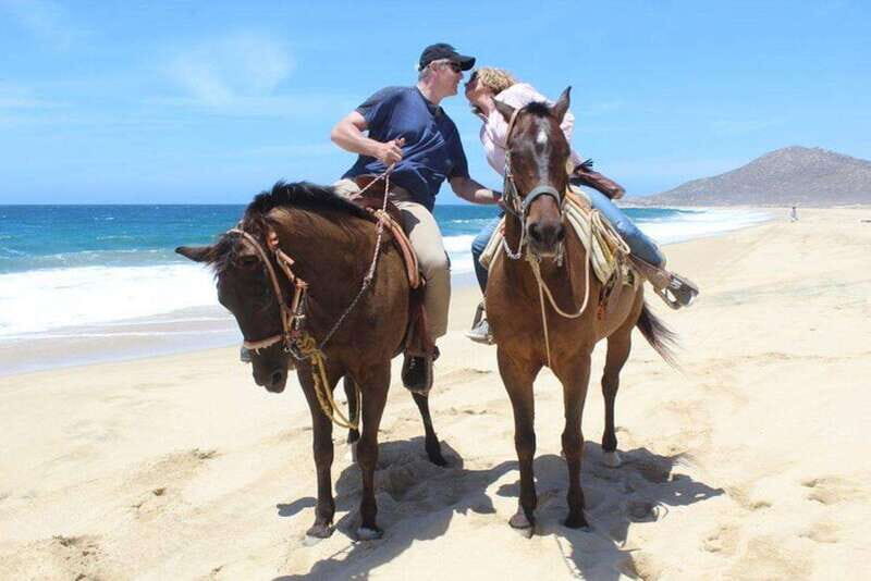 Cabo San Lucas: White Sand Horseback Adventure - An In-Depth Look at the White Sand Horseback Adventure