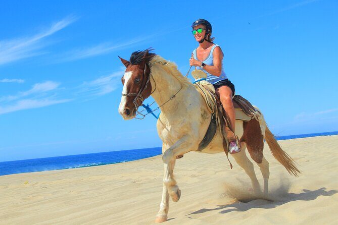 Cabo Shore Excursion: Beach Horseback Ride & Tequila Tasting - An In-Depth Look at the Cabo Horseback Ride & Tequila Tasting Experience