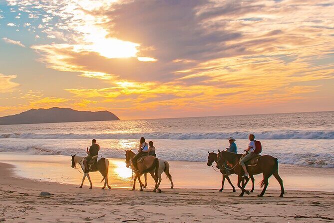 Cabo Shore Excursion: Beach Horseback Ride & Tequila Tasting - Who Should Consider This Tour?