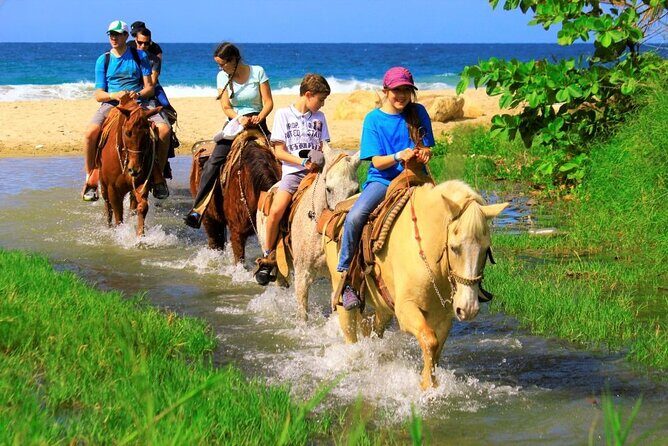 Cabo Shore Excursion: Beach Horseback Ride & Tequila Tasting - FAQs