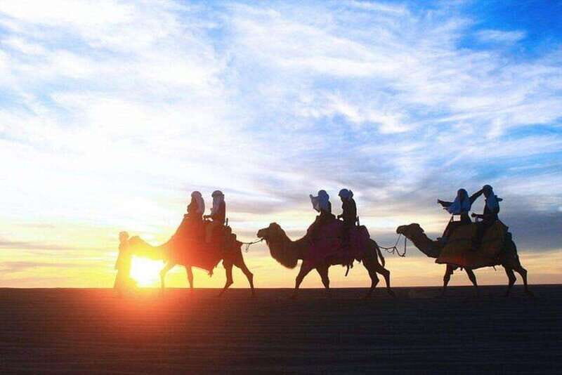 Cabo: Sunset Camel Ride and ATV Combo Adventure - Who Should Consider This Tour?