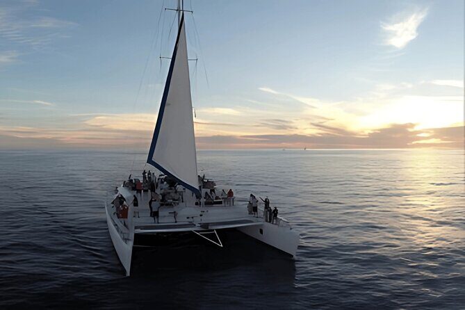 Cabo Sunset Catamaran Cruise: El Arco & Open Bar Experience - Practical Tips for Booking