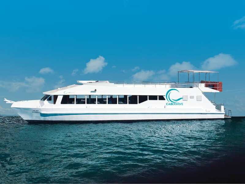 Cabo: Sunset Cruise with Dinner, Music & Open Bar - The Sum Up