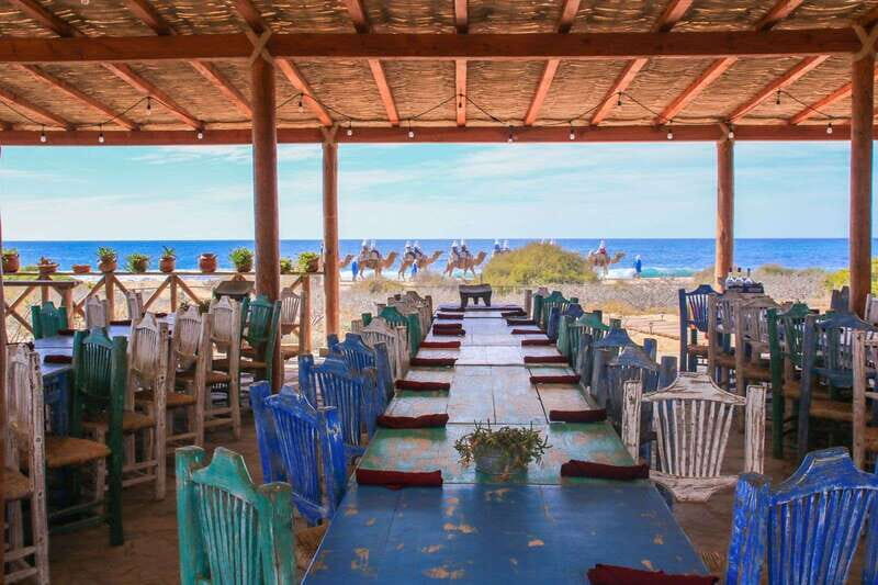Cabo: Todo Santos Tour with Camel Ranch, Tequila and Lunch - What You Need to Know Before Booking