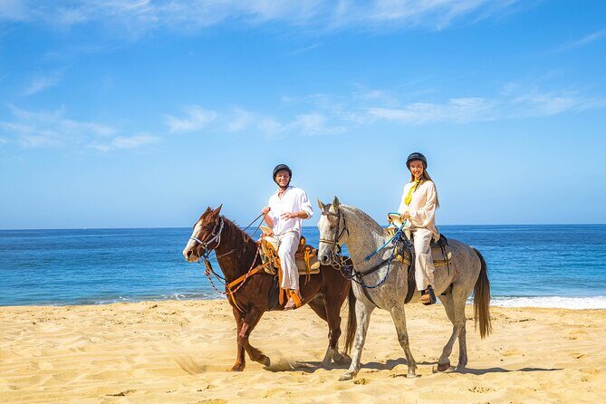 Cabo Tour Mexico Camel and Horseback Ride with ATV Adventure - A Fully-Loaded Adventure in Cabo San Lucas
